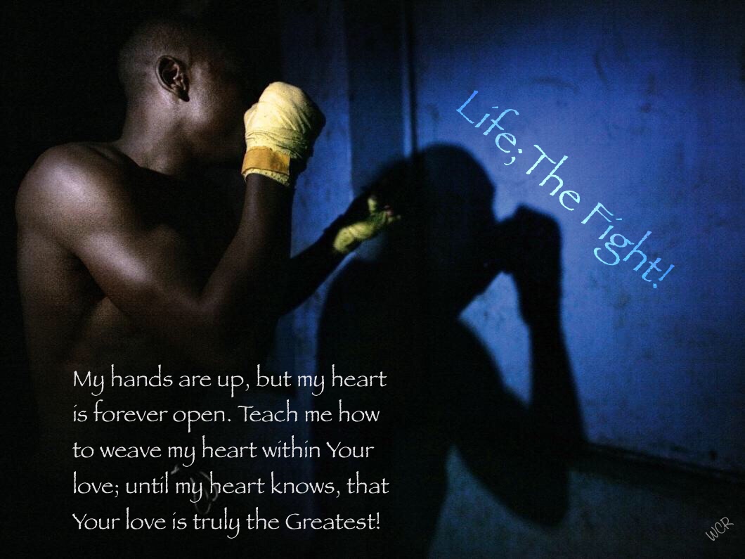 Life; The Fight! – A Love Story!
