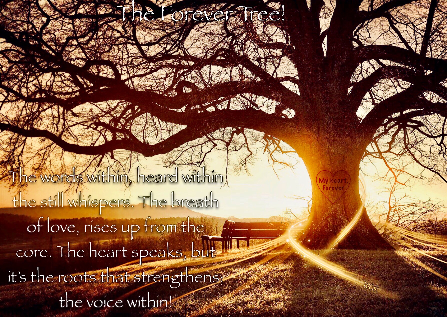 The Forever Tree! – A Love Story!