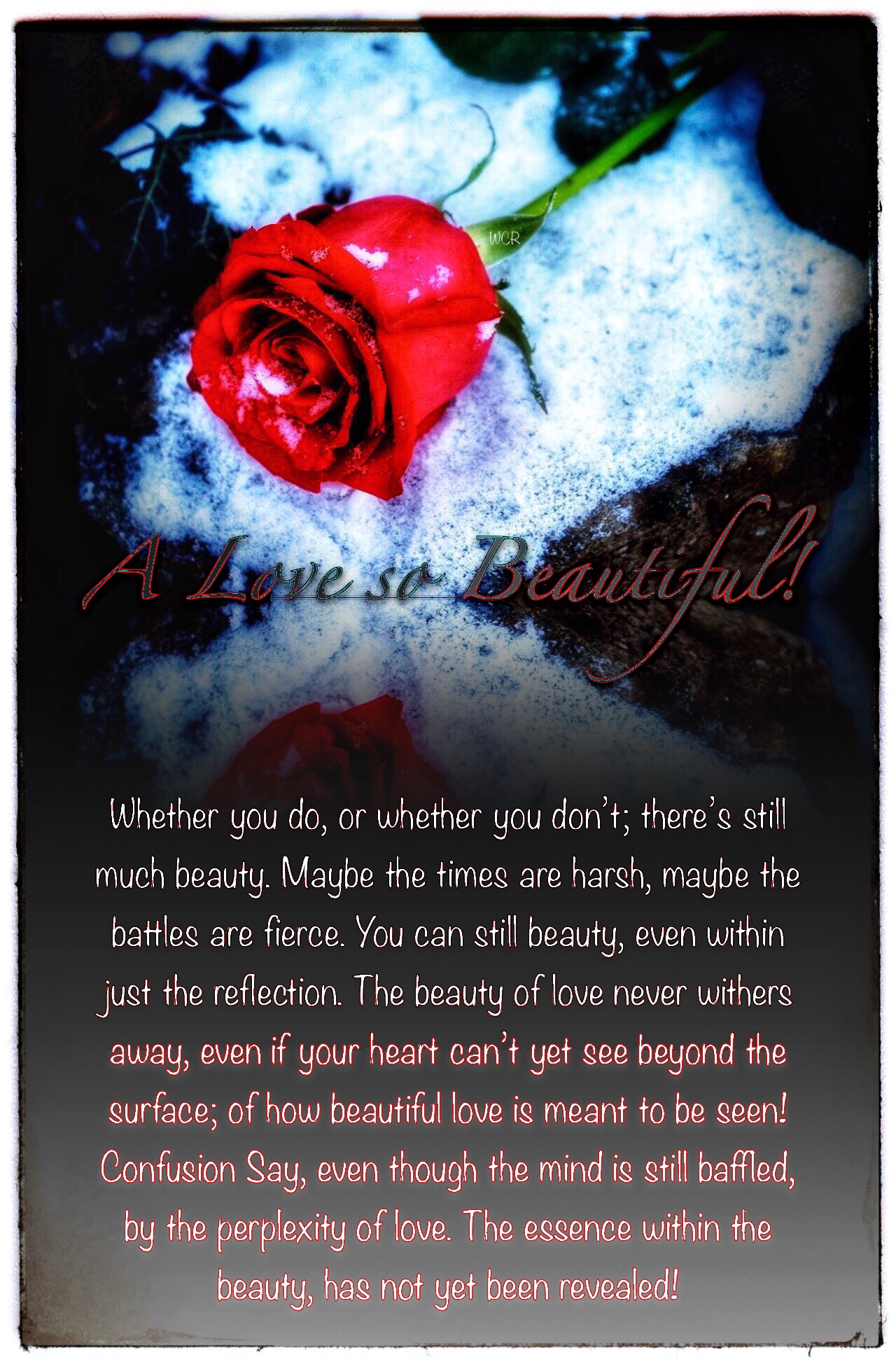 A Love So Beautiful! – A Love Story!