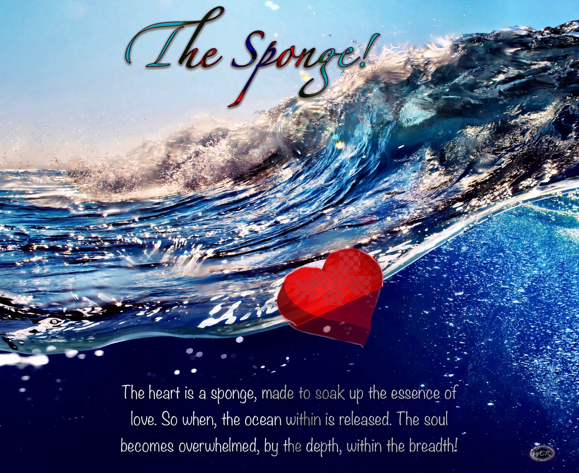 The Sponge! – A Love Story!