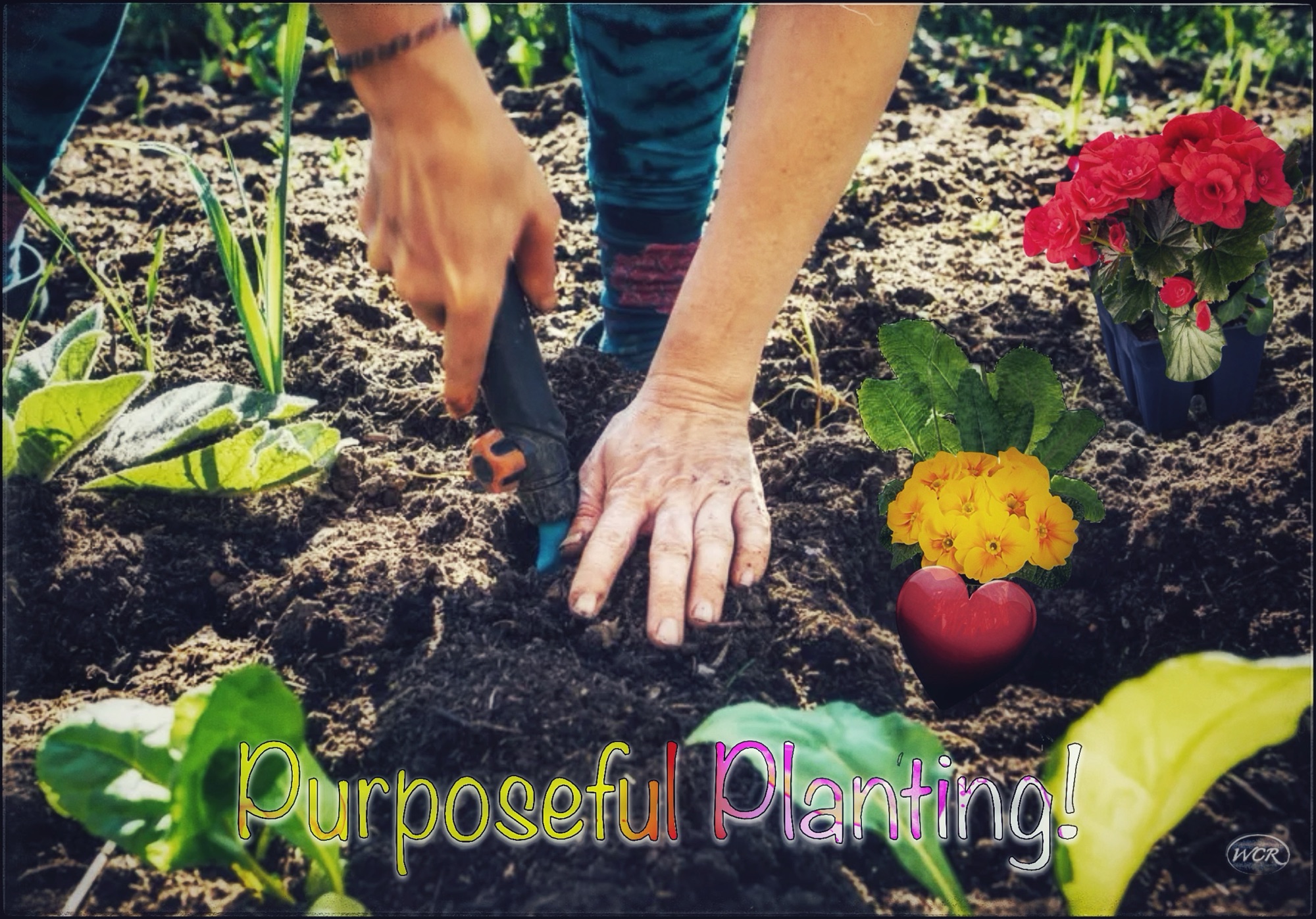 Purposeful Planting! – A Love Story!