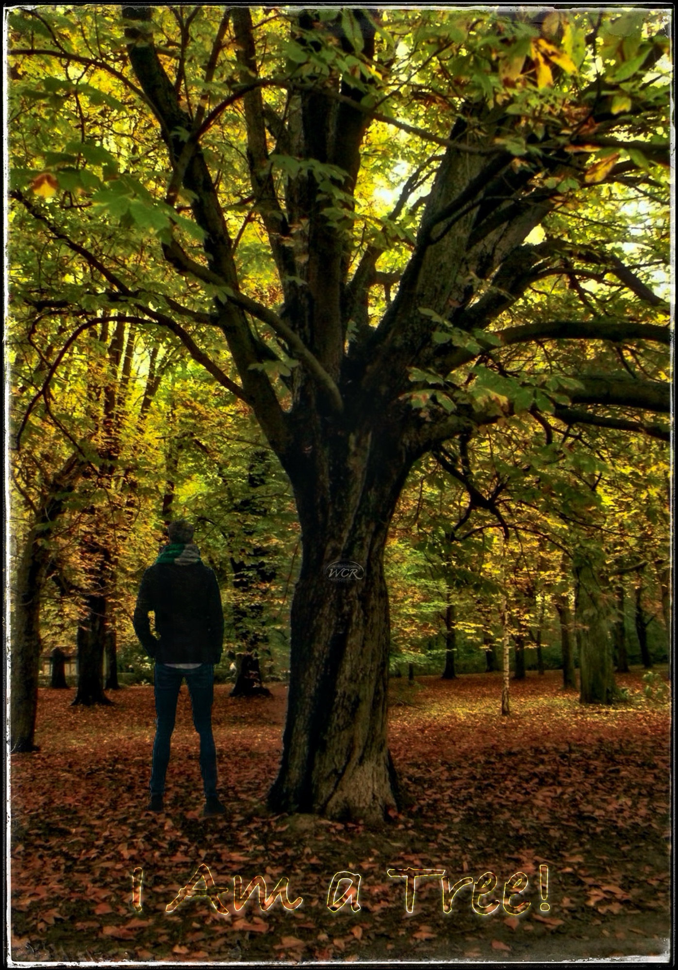 I Am a Tree! – A Love Story!
